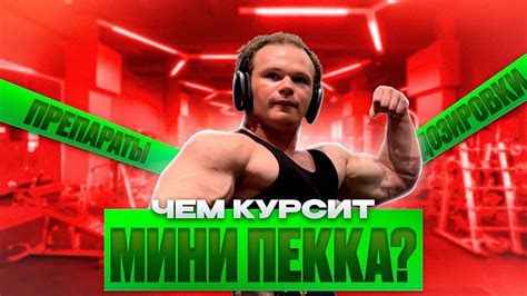 КУРС МИНИ ПЕККИ СТЕРОИДЫ И ИХ ДОЗИРОВКИ Youtube