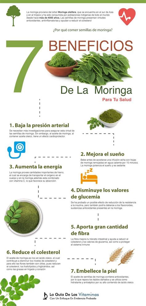 7 Beneficios De La Semilla De Moringa Para Tu Salud La Guía de las