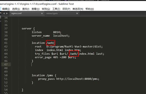 nginx 发布vite项目 nginx 部署vite项目 CSDN博客