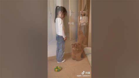 家裡有一隻會和小朋友玩捉迷藏的狗狗是什麼體驗 萌宠 萌寵 Youtube