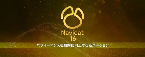 Navicat データベース管理ツール 法人様向け販売サイト 法人様に便利な各種書類発行・様々な支払い方法に対応。全世界300万ユーザに利用されているデータベース管理ツール