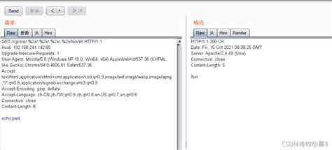Apahce D 2 4 49（cve 2021 41773）漏洞复现详细教程 12333119的技术博客 51cto博客