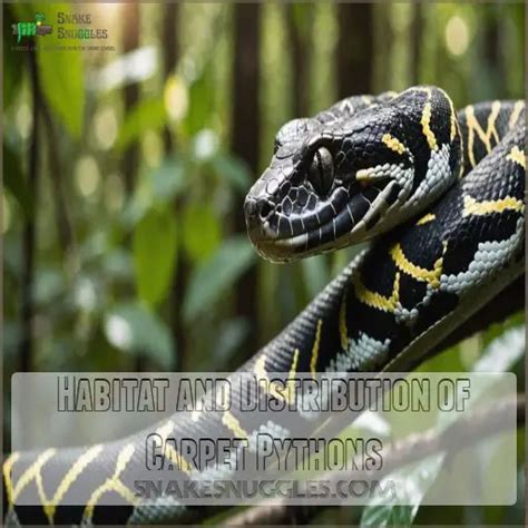 Carpet Python Facts 10 Amazing Features You Didnt Know