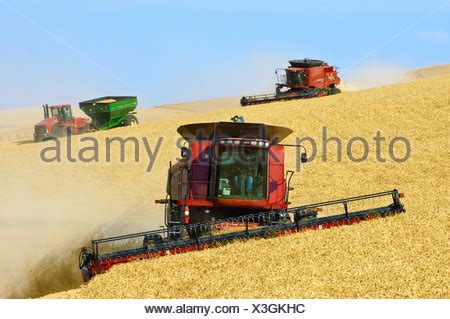 Two Case IH Combines And A Grain Cart Pulled By A Tracked Tractor Stock Photo Alamy