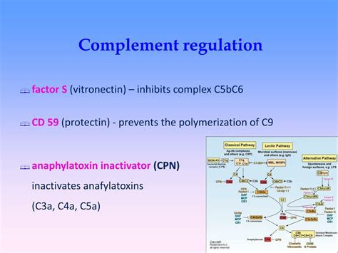Ppt Complement Powerpoint Presentation Free Download Id9384604