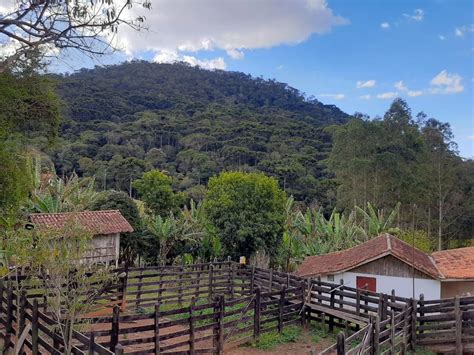 Fazenda Sítio 121000 m² em São Bento do Sapucaí por R 1 500 000 Viva Real