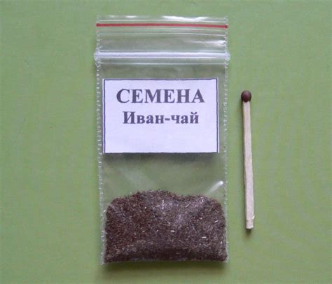 Иван Чай Семена – Telegraph