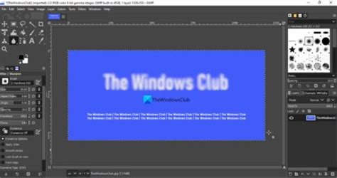 How To Blur Or Pixelate An Image On Windows 11 10