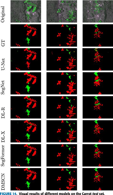 Figure From Dense Multi Scale Convolutional Network For Plant Segmentation Semantic Scholar