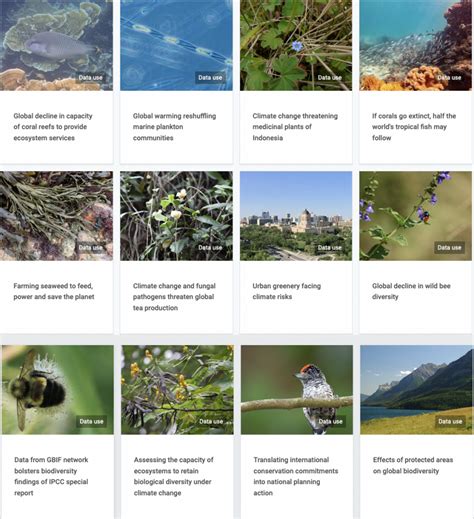 Illuminating Bhls Dark Data Citizen Scientists And Ai Unlock Key Biodiversity Data In Gbif
