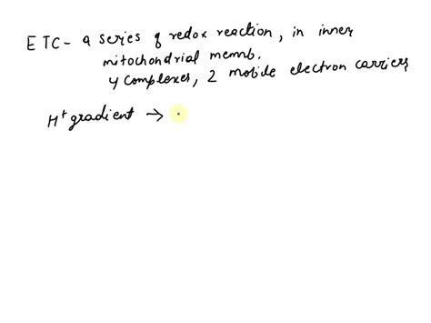 Solved The Proton Gradient Formed During The Electron Transfer Chain Is Important For A