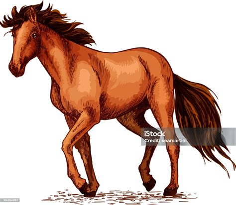 갈색 머스탱 종 마의 말 스케치 갈기에 대한 스톡 벡터 아트 및 기타 이미지 갈기 갈색 걷기 Istock