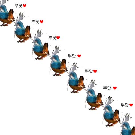 새가 똥 싸는 짤 유머 게시판