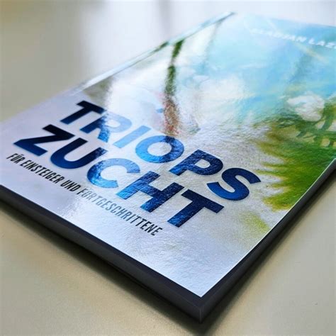 Feeding Triops How To Feed Triops [with Instructions] Triops Galaxy