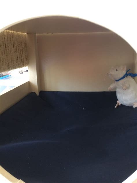 A Tiny Cathouse 6 Steps With Pictures Instructables