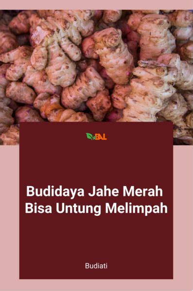Perpustakaan Digital Indonesia