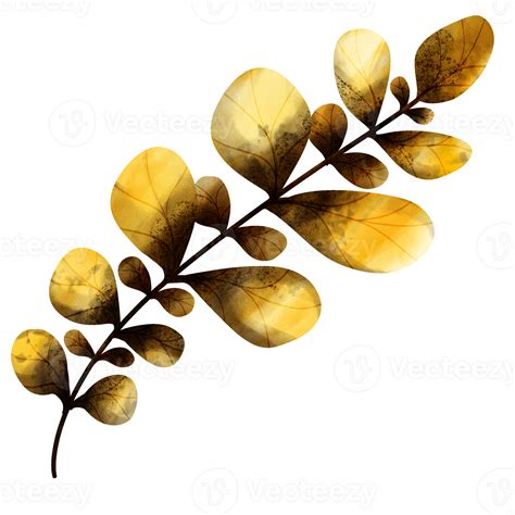 Types Of Leaf 42541318 Png