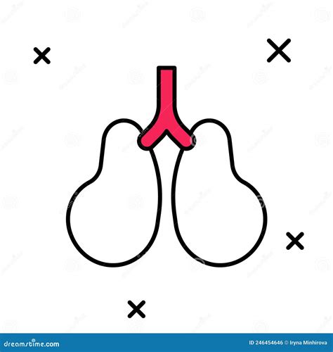 Outline Lungs Vector Icon Isolated Black Simple Line Element