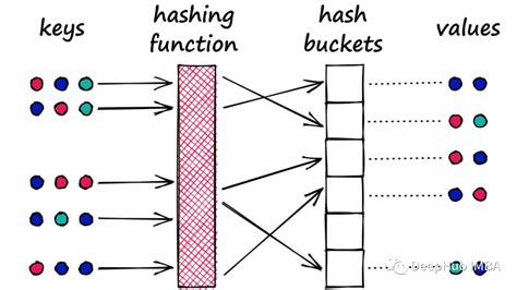Lsh