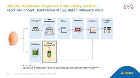 Downstream Process Intensification For Virus Purification Using