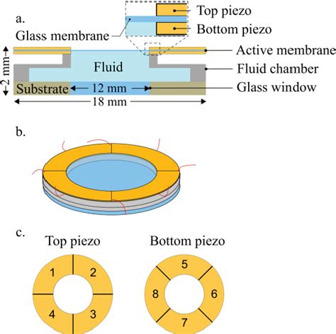 Figure 1 From Piezo Actuated Higher Order Wavefront Correction Lens