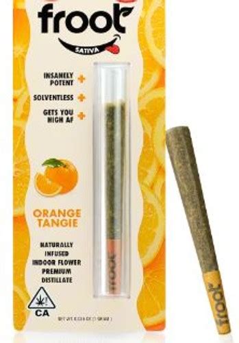 Orange Tangie Infused Preroll 50 Thc 1 Gram Froot Alpaca
