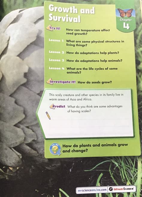 Chapter Lesson Plant Adaptations Questions Answers For Quizzes And Tests Quizizz