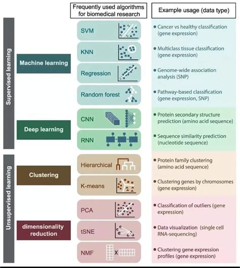 Meet Chauhan On Linkedin Machinelearning Datascience