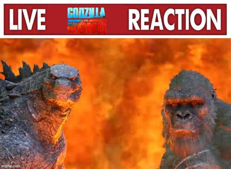 Godzilla X Kong Imgflip