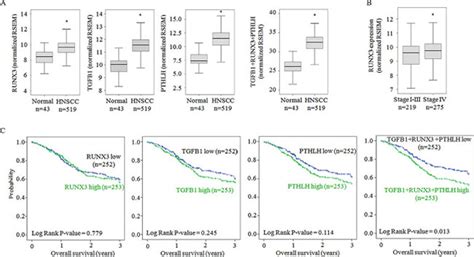 loss of runx3 expression inhibits bone invasion of oral squamous cell