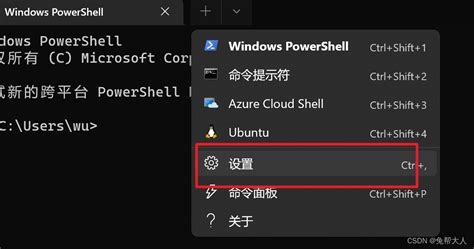 win10 wsl2 ubuntu zsh powerlevel10k nerd fonts powerlevel10k字体 csdn博客