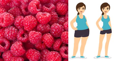 Boost Your Metabolism And Lose Weight With These 10 Foods David