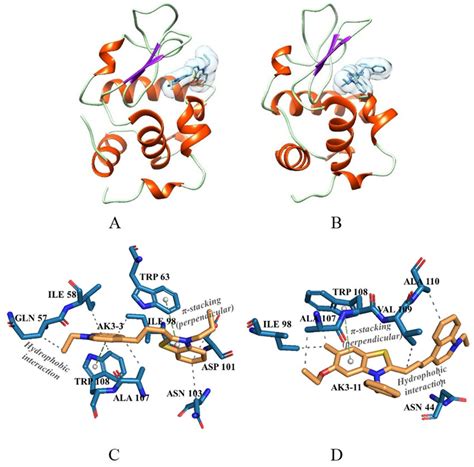 Most Favorable Modes Of Interactions Between Ak3 3 A C Ak3 11 B