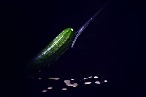 Free Images Nature Drop Leaf Flower Summer Dark Food Salad