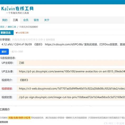 【实用工具】抖音无水印视频解析 Cn Sec 中文网