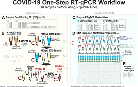 One Step Rt Qpcr Workflow For Quantification Of Salivary Sars Cov 2