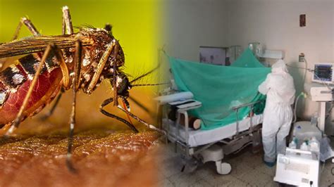 Alerta sanitaria Se ha desbordado el dengue en el país ante el elevado número de casos ATV