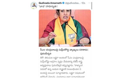 చంద్రబాబే కరెక్ట్ సుప్రీం కామెంట్స్ ను తప్పుబట్టిన పురందేశ్వరి బావ