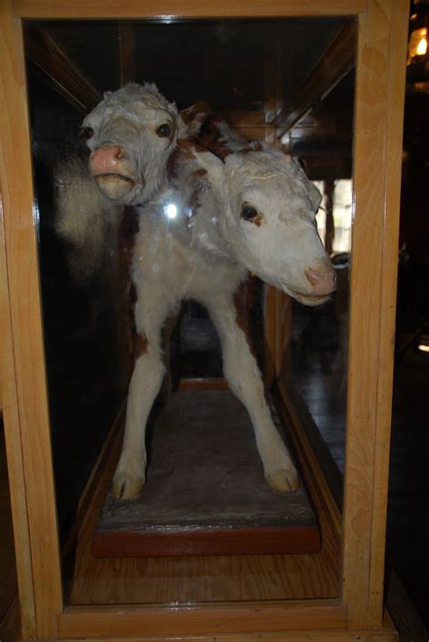 Shine Like Stars Mom And Son Road Trip