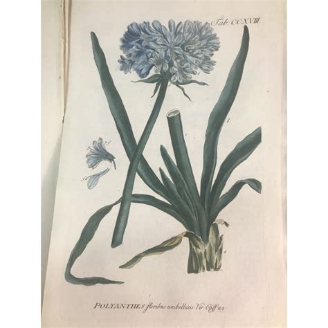 Philipp Millers 244 Planches Grand Format In Folio Rehaussées Pour