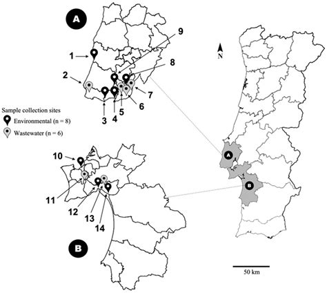 Pathogens Free Full Text Human Polyomaviruses Hpyv In Wastewater