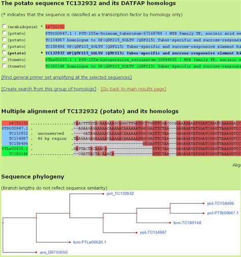Multiple Alignment And Sequence Phylogeny Download Scientific Diagram