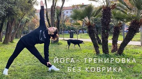 Утренняя йога тренировка в парке Для начинающих Без коврика Youtube