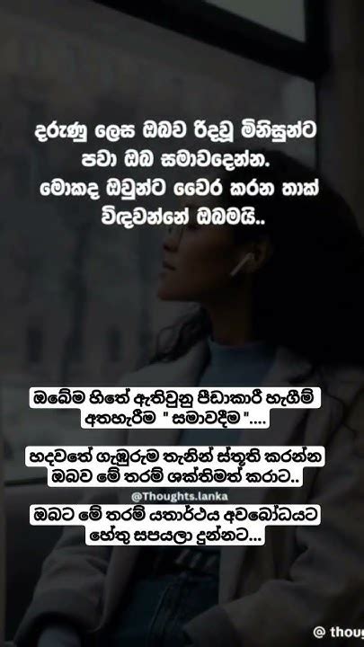 සියලු සත්වයෝ සුවපත් වේවා 🙏 Youtube