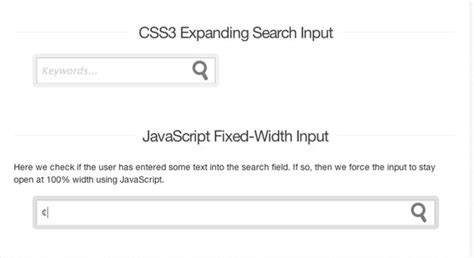 how to code an expanding html5 css3 search input field search html5