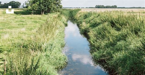 Green Grass Field Near River Under Blue Sky During Daytime Photo Free