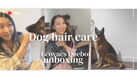 НОХОЙНЫ ҮСИЙГ ЯАХ ВЭ УХААЛАГ ТООС СОРОГЧ Ecovacs Deebot X2 Unboxing Youtube