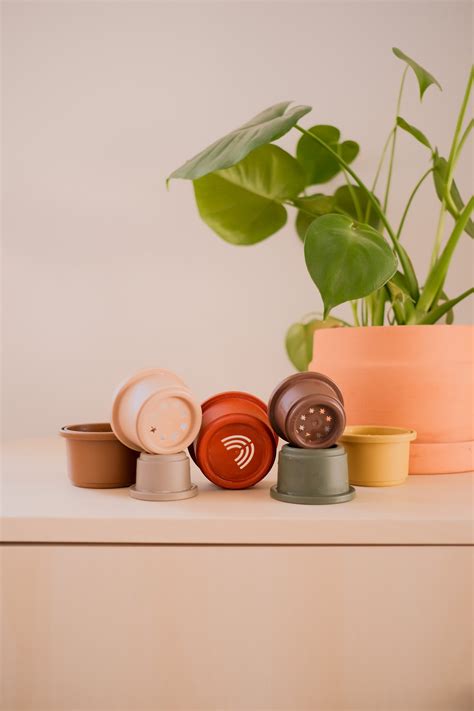 Shop Nesting Toys — Raise Wildflowers