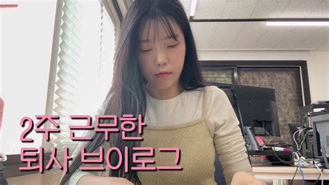 2주 근무한 퇴사 브이로그 5인 미만 쇼핑몰에서 웹디자이너는 하지마 제발 Youtube