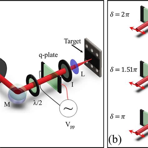 A Schematic Of The Experimental Setup Used For Direct Laser Surface